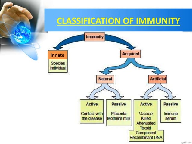 Immune system disorders | PPTX