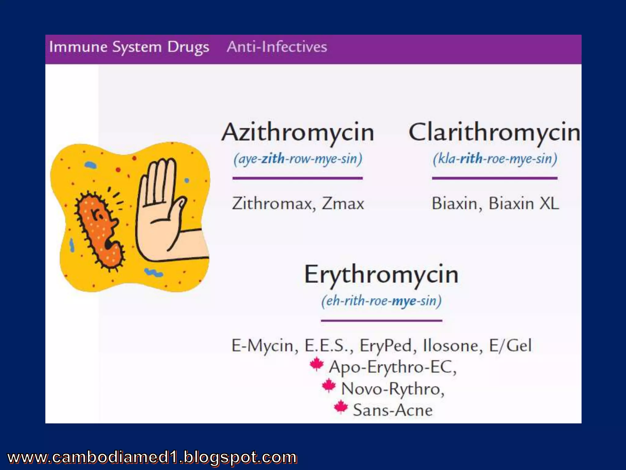 Immune system drugs | PPTX