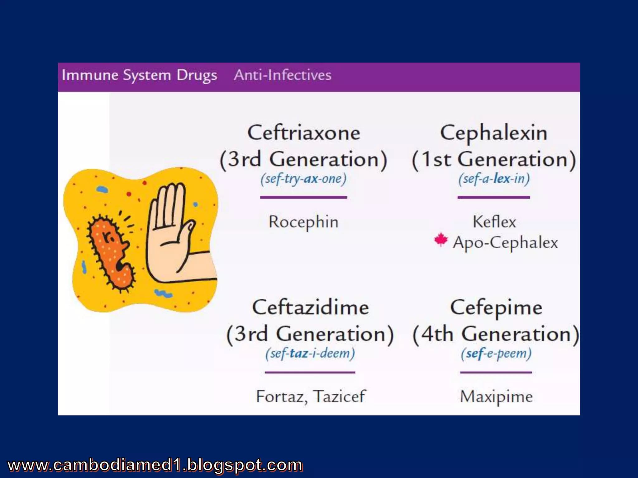 Immune system drugs | PPTX