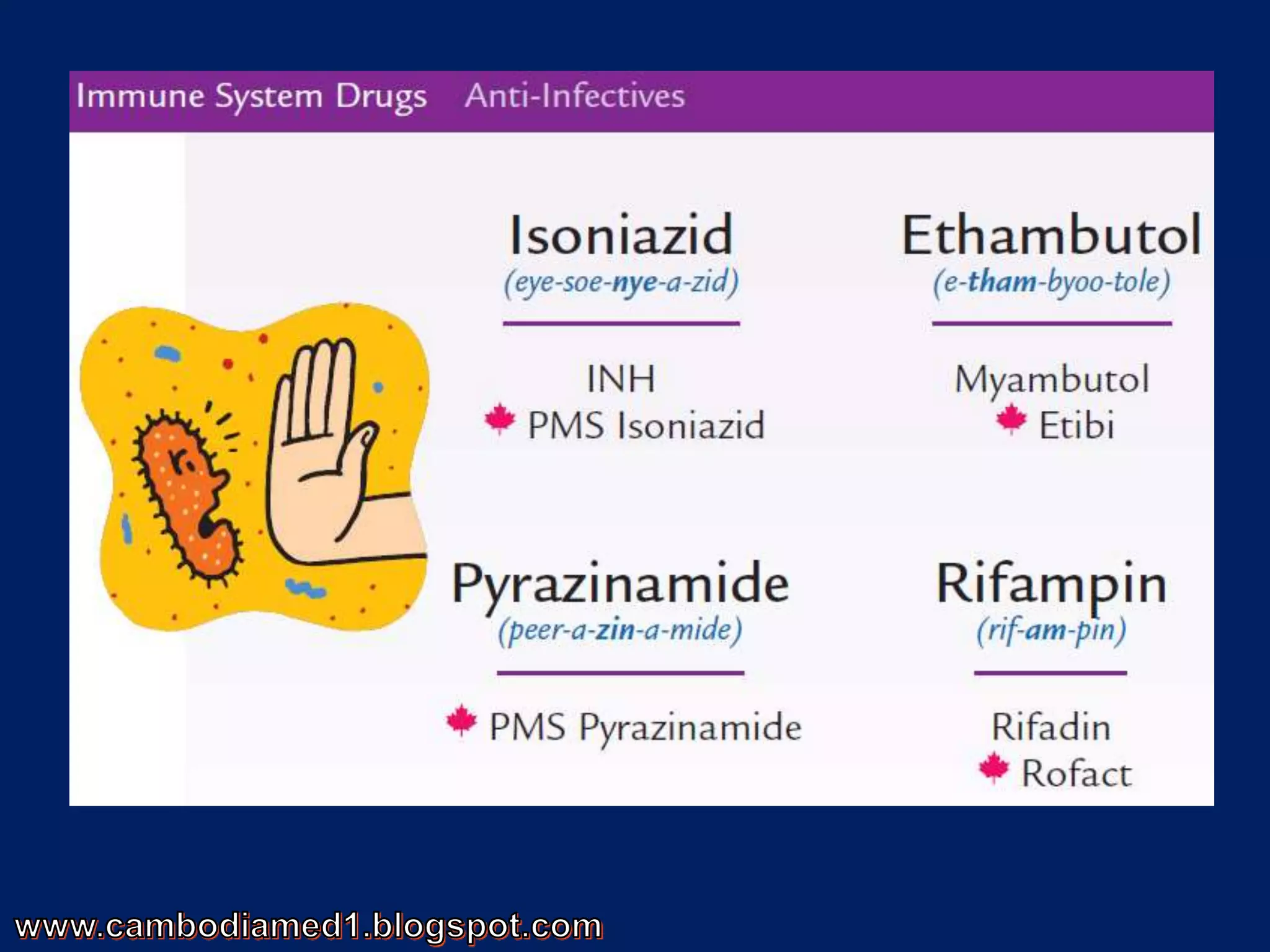Immune system drugs | PPTX