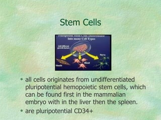 Immune system and immunity | PPT