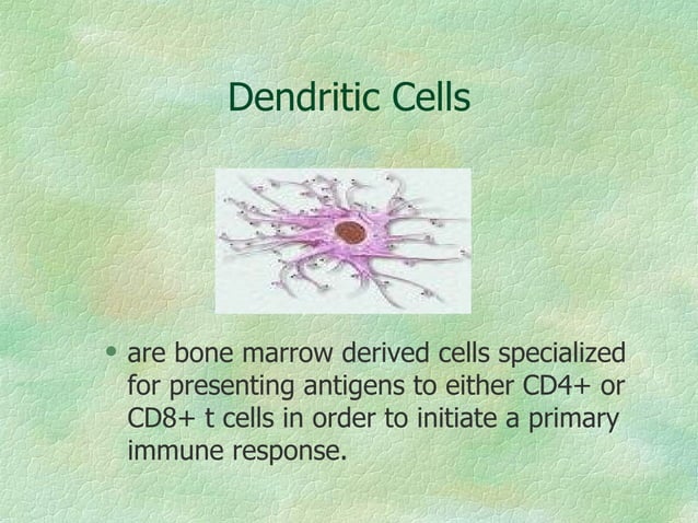 Immune System And Immunity Ppt