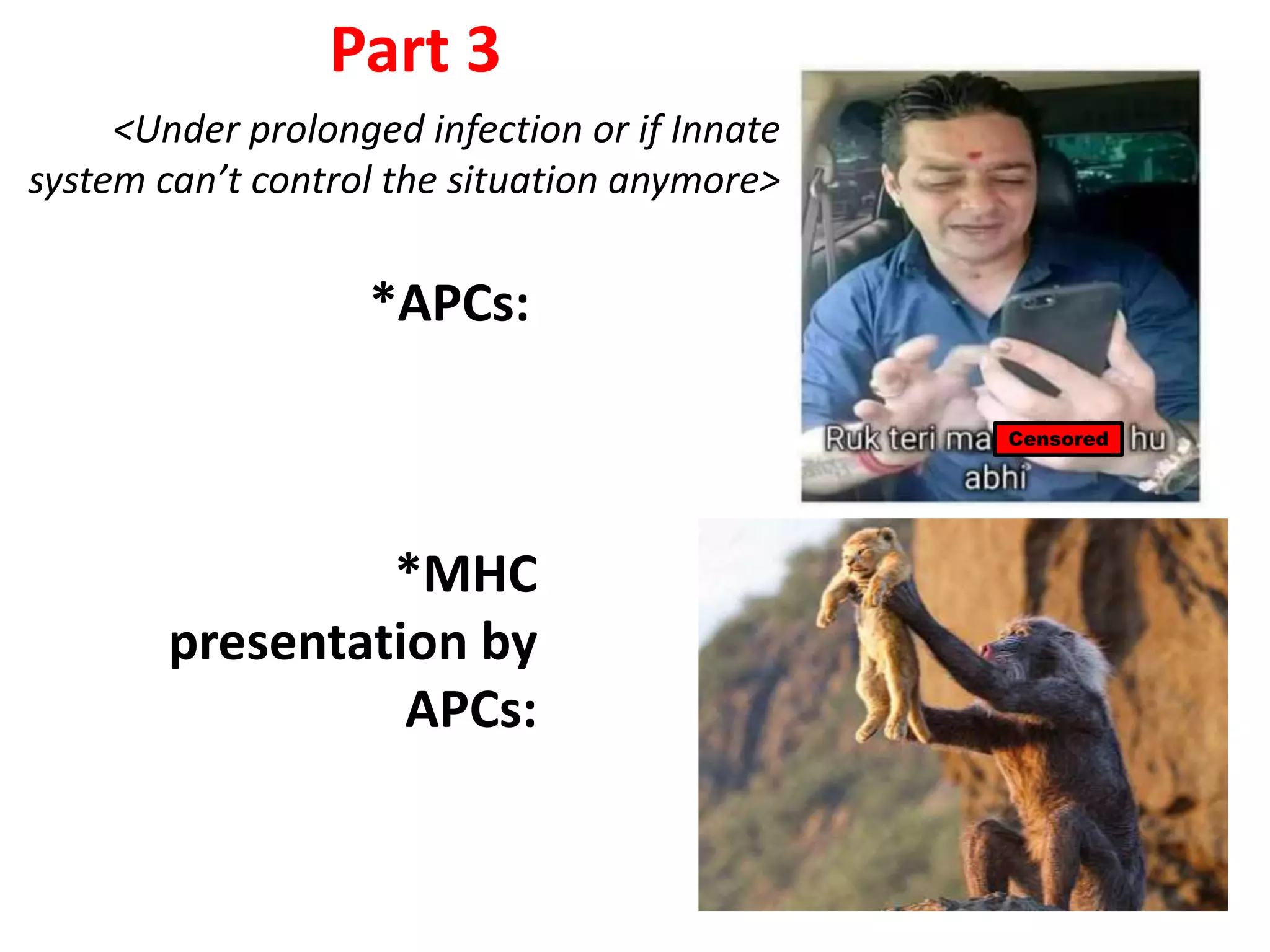 Immune System Memesgatha | PPTX | Infectious Diseases | Diseases and ...