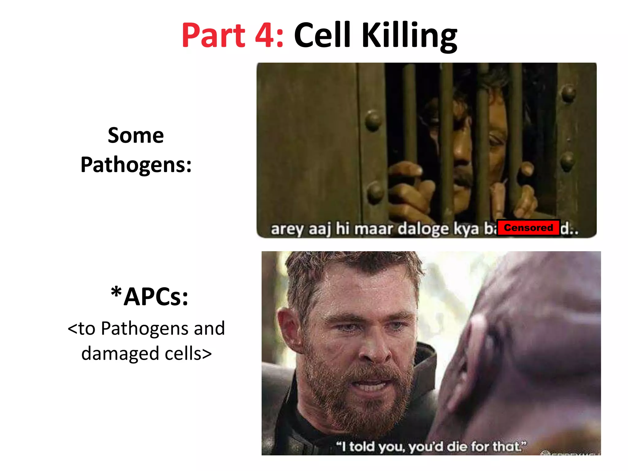 Immune System Memesgatha | PPTX | Infectious Diseases | Diseases and ...