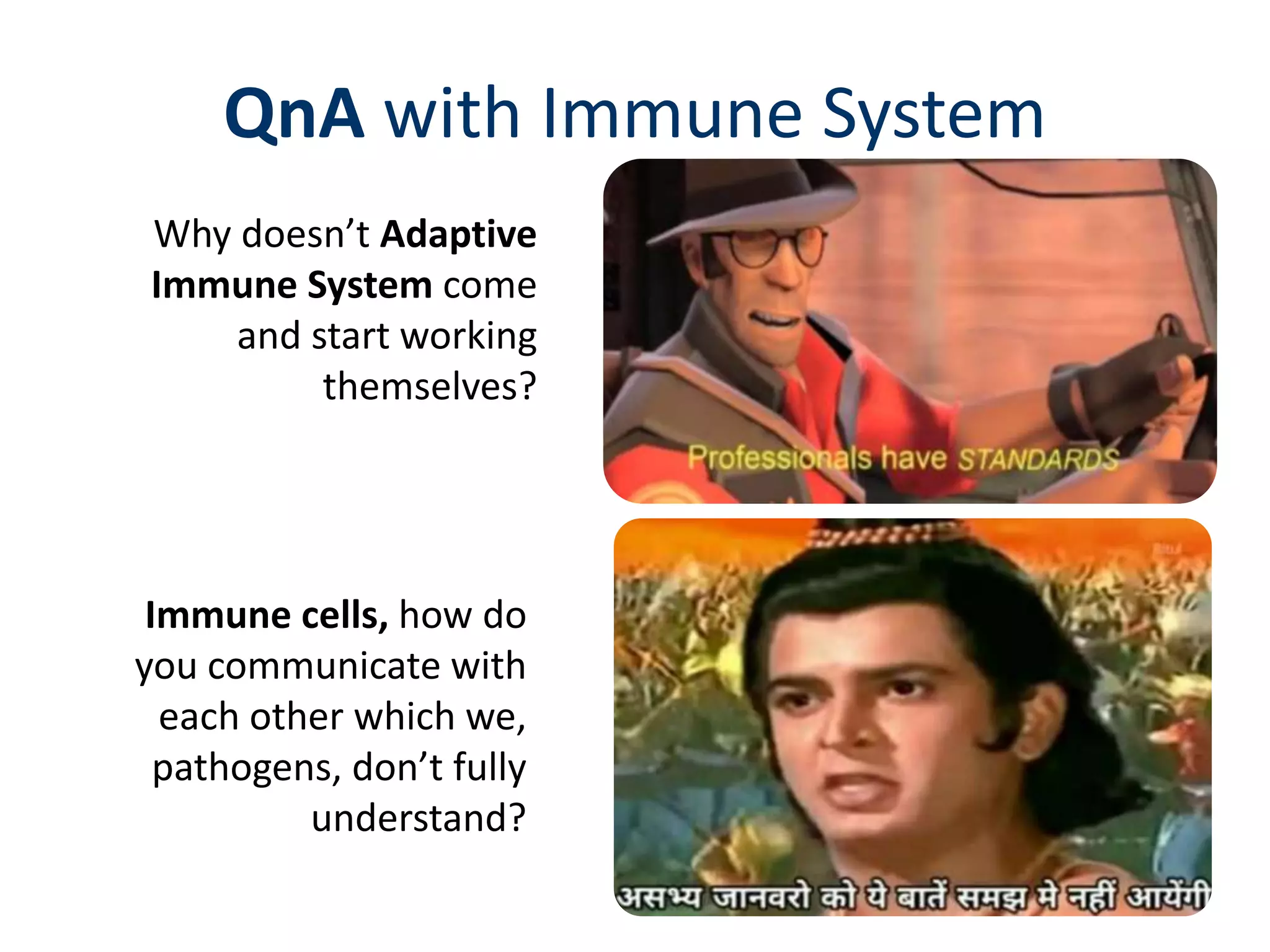 Immune System Memesgatha | PPTX | Infectious Diseases | Diseases and ...