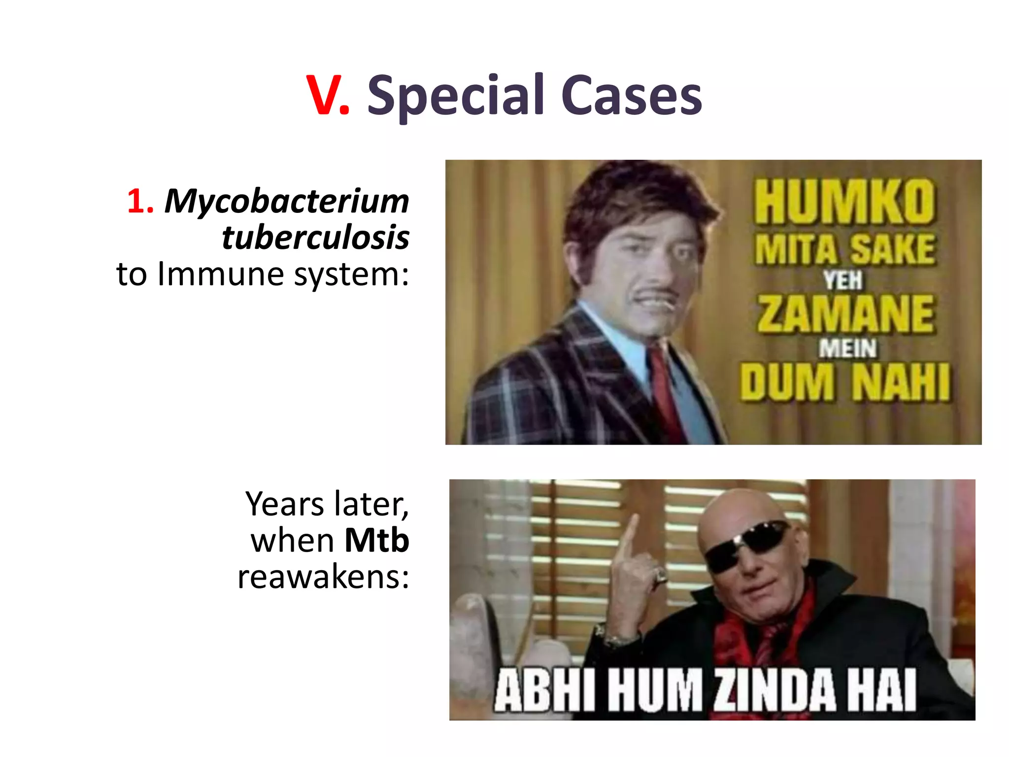 Immune System Memesgatha | PPTX | Infectious Diseases | Diseases and ...