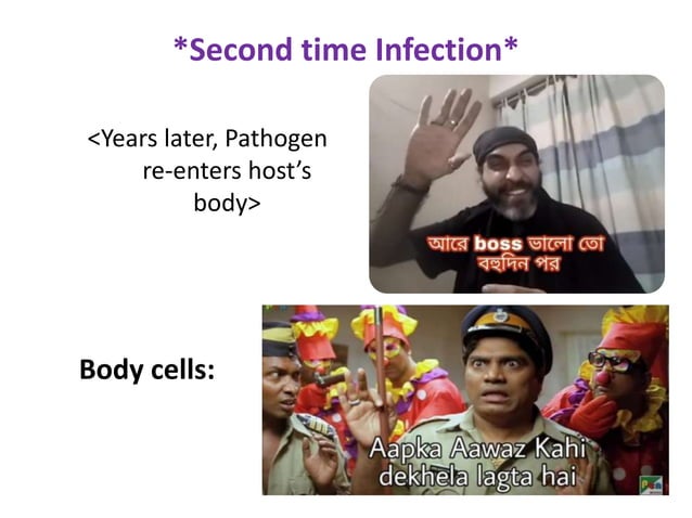 Immune System Memesgatha | PPT