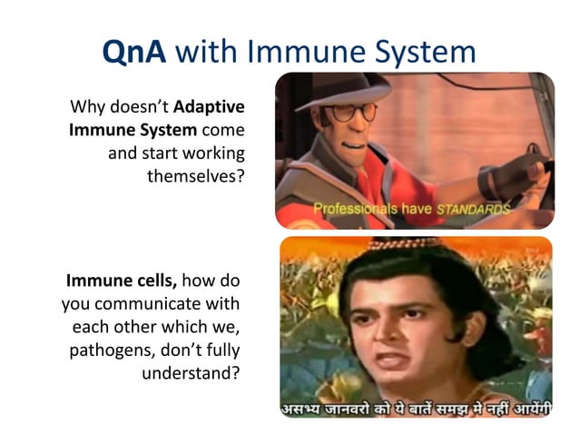 Immune System Memesgatha | PPT