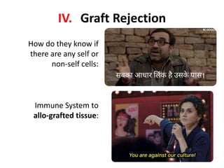 Immune System Memesgatha | PPT