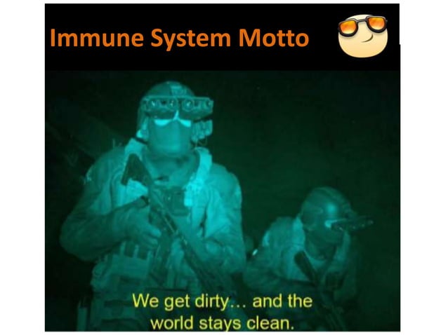 Immune System Memesgatha | PPT