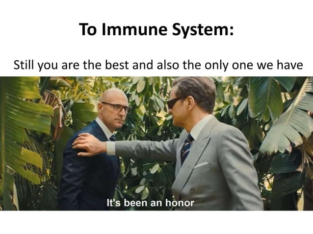 Immune System Memesgatha | PPT