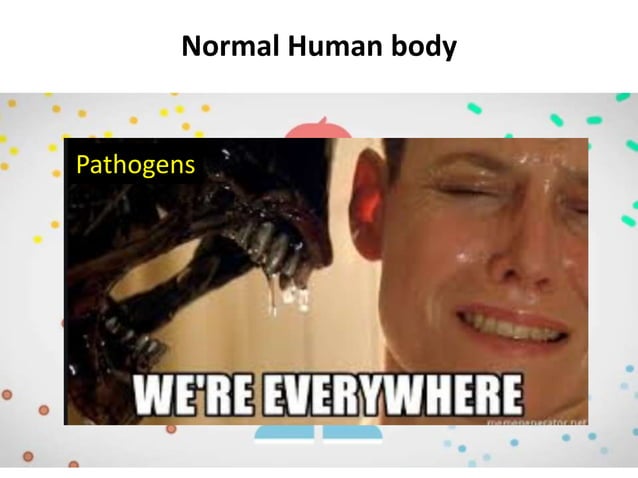 Immune System Memesgatha | PPT