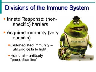 Immune System notes | PPT | Blood Disorders | Diseases and Conditions