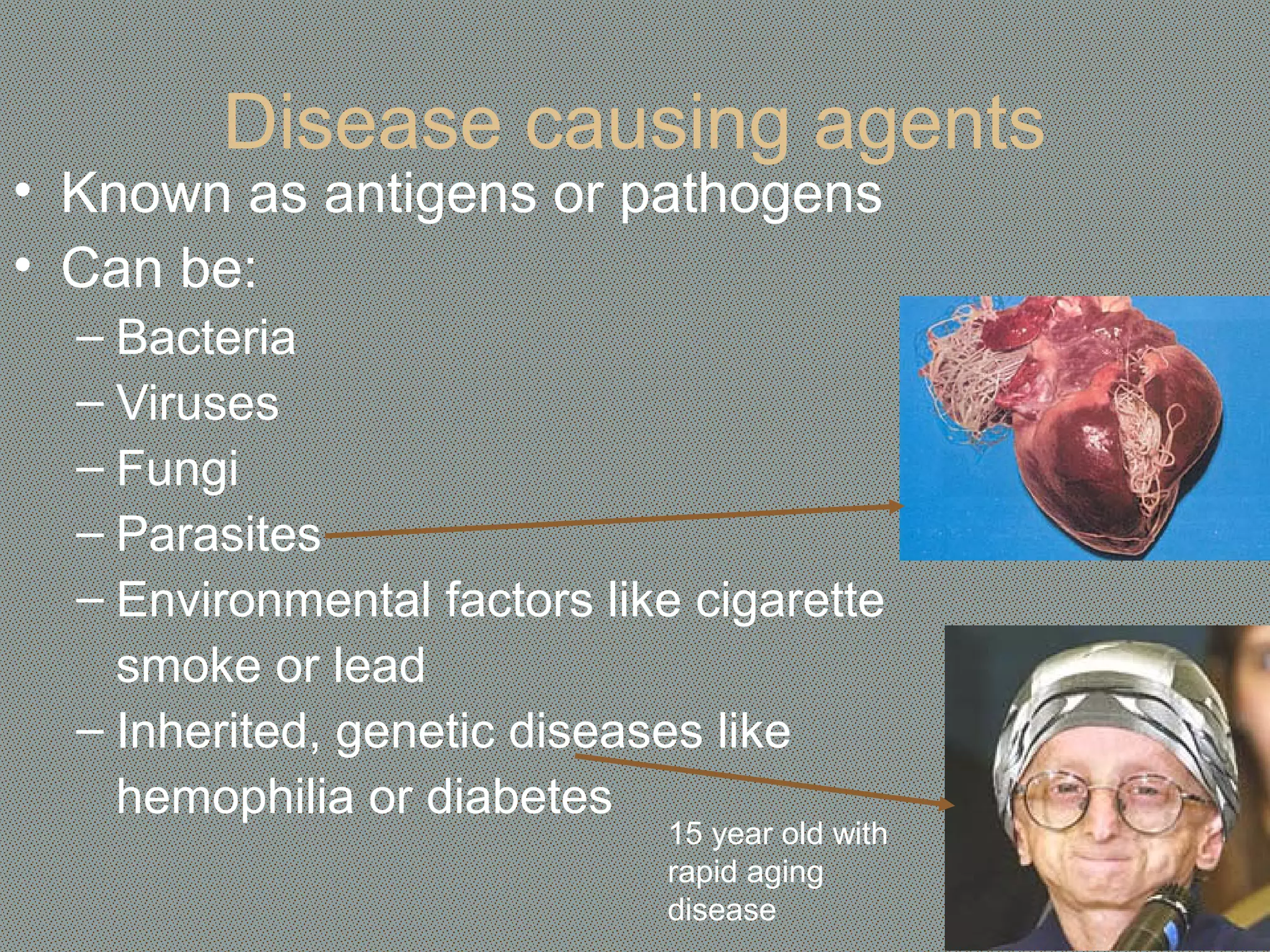 Immune system notes as fold-able for freshmen biology | PPT ...