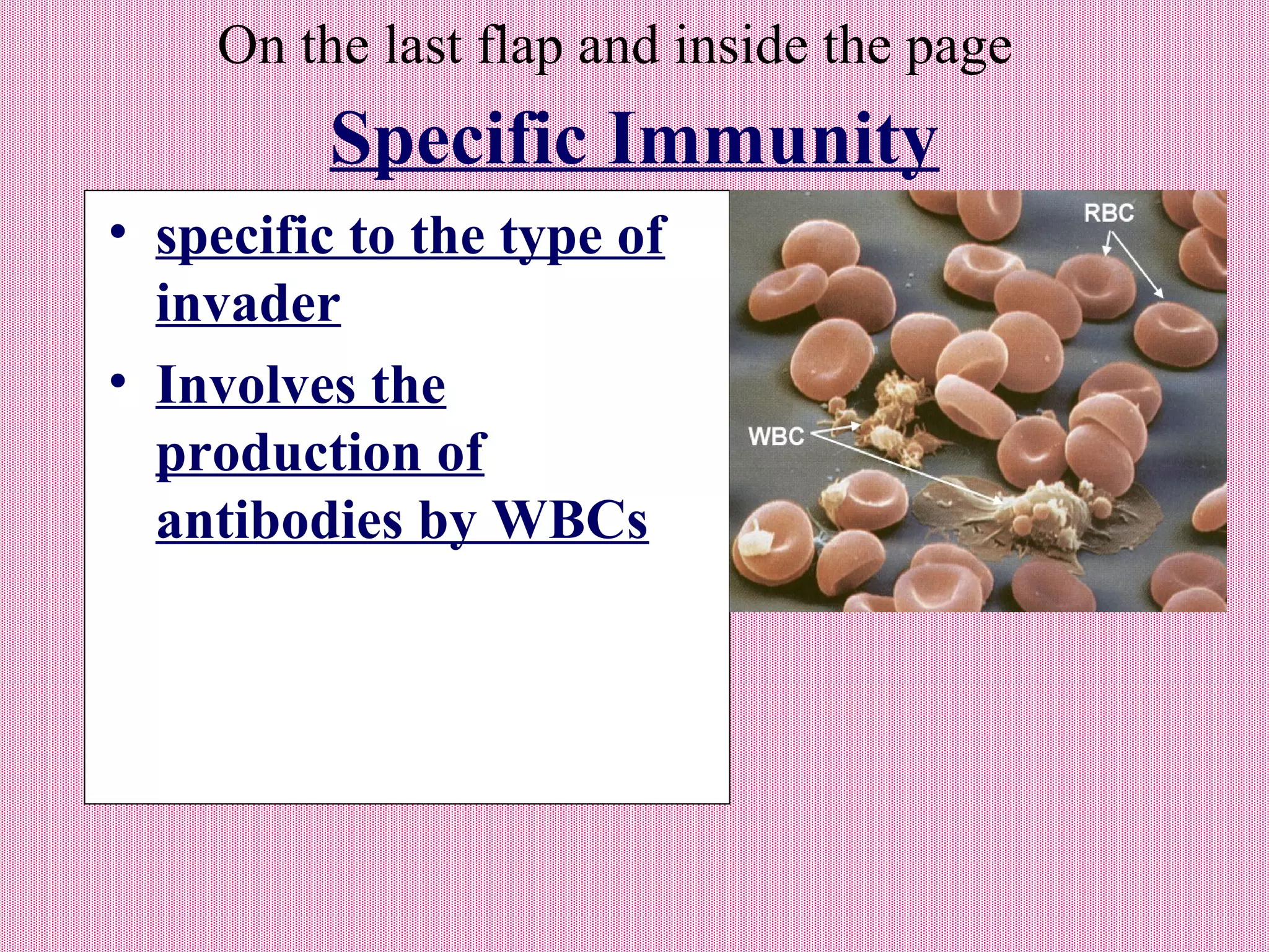Immune system notes as fold-able for freshmen biology | PPT ...