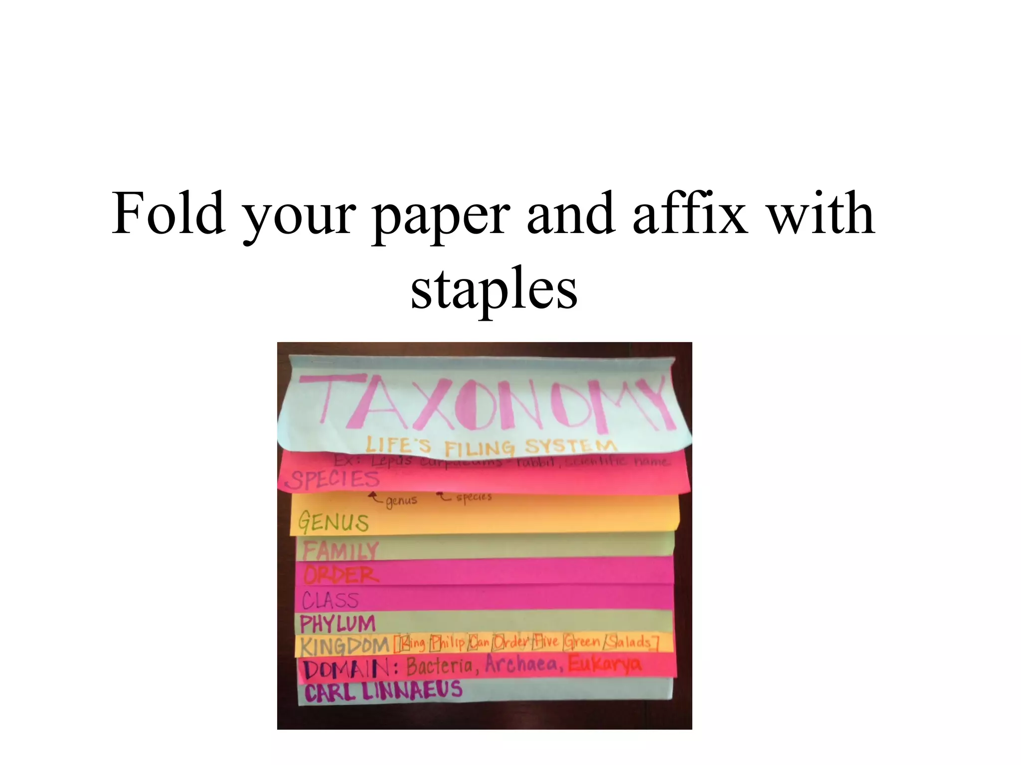 Immune system notes as fold-able for freshmen biology | PPT ...