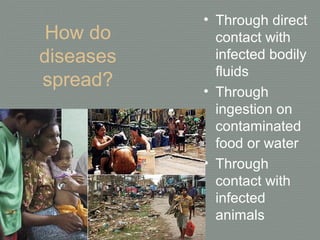 Immune system notes as fold-able for freshmen biology | PPT