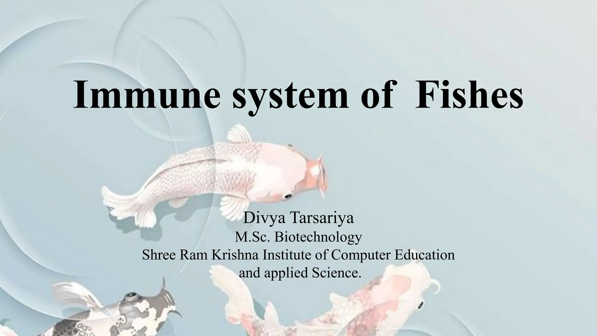 Immune system of fishes by Divya Tarsariya.pptx