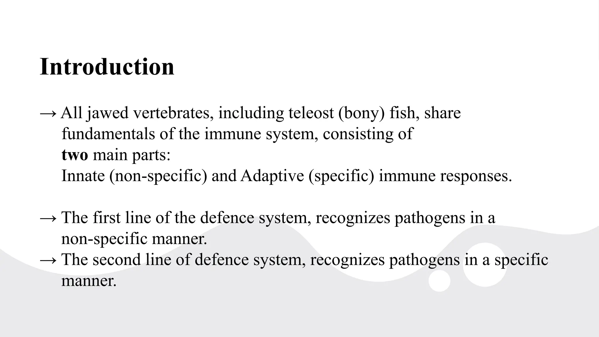 Immune system of fishes by Divya Tarsariya.pptx