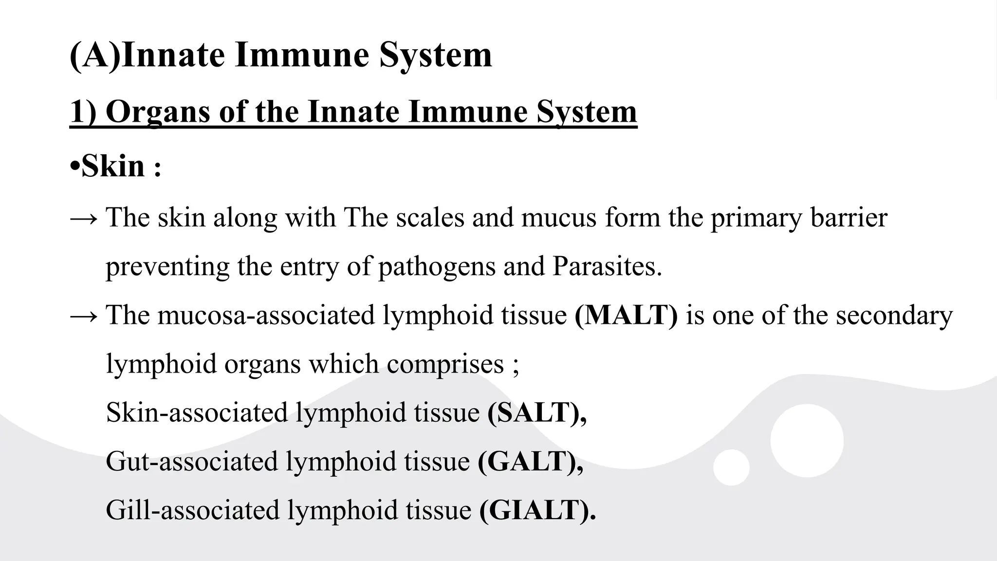 Immune system of fishes by Divya Tarsariya.pptx