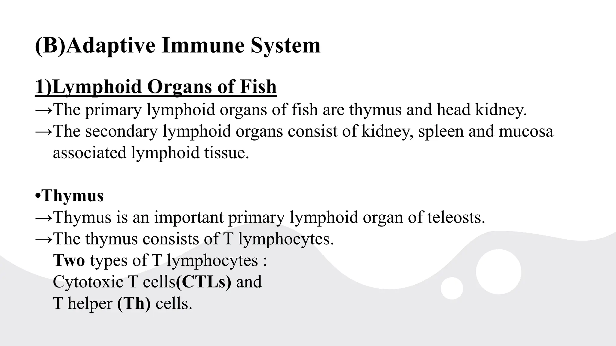 Immune system of fishes by Divya Tarsariya.pptx
