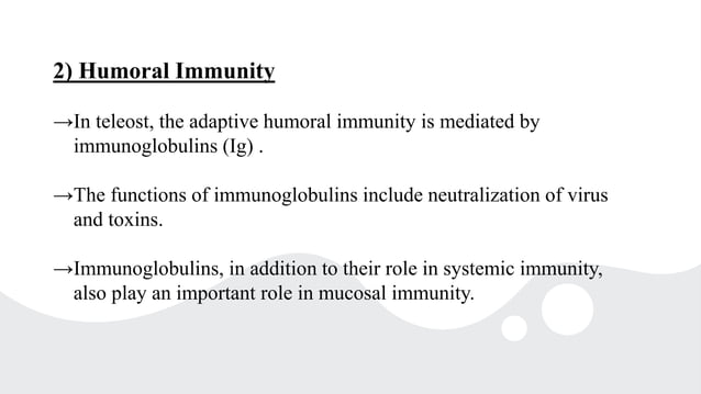 Immune system of fishes by Divya Tarsariya.pptx