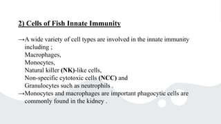 Immune system of fishes by Divya Tarsariya.pptx