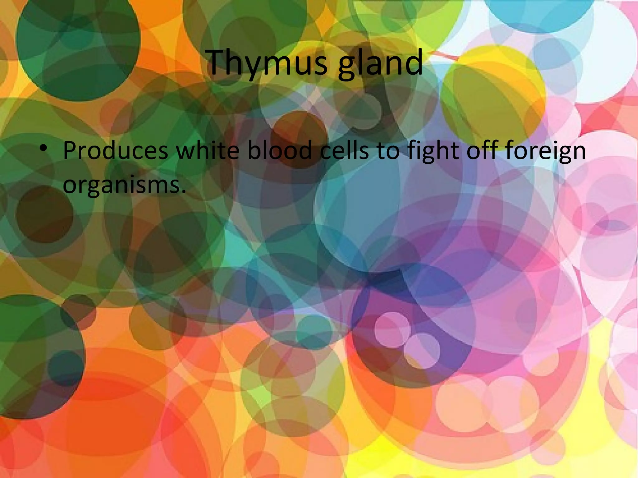 Immune system power point | PPT