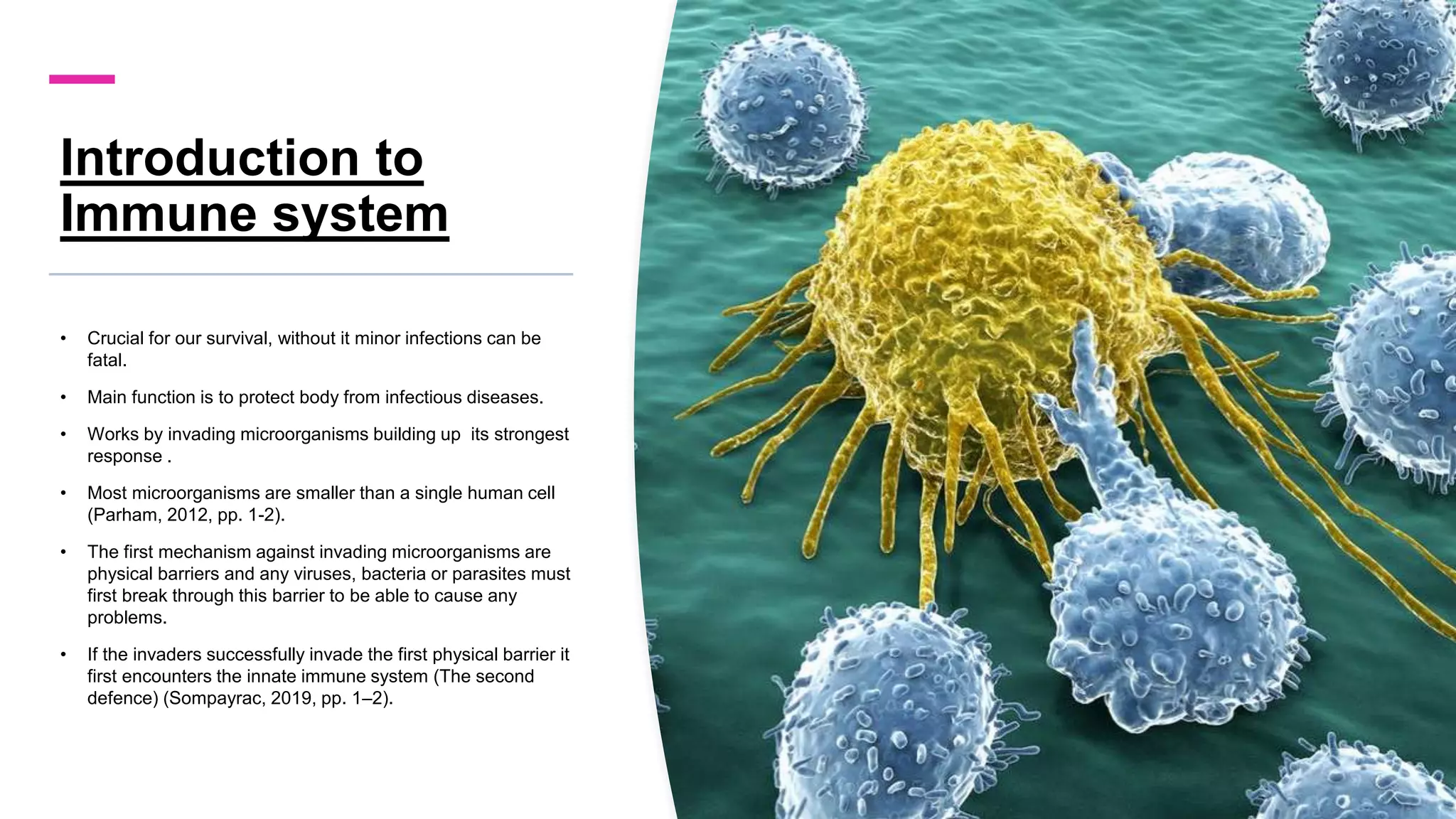 Immune system powerpoint | PPTX | Infectious Diseases | Diseases and Conditions