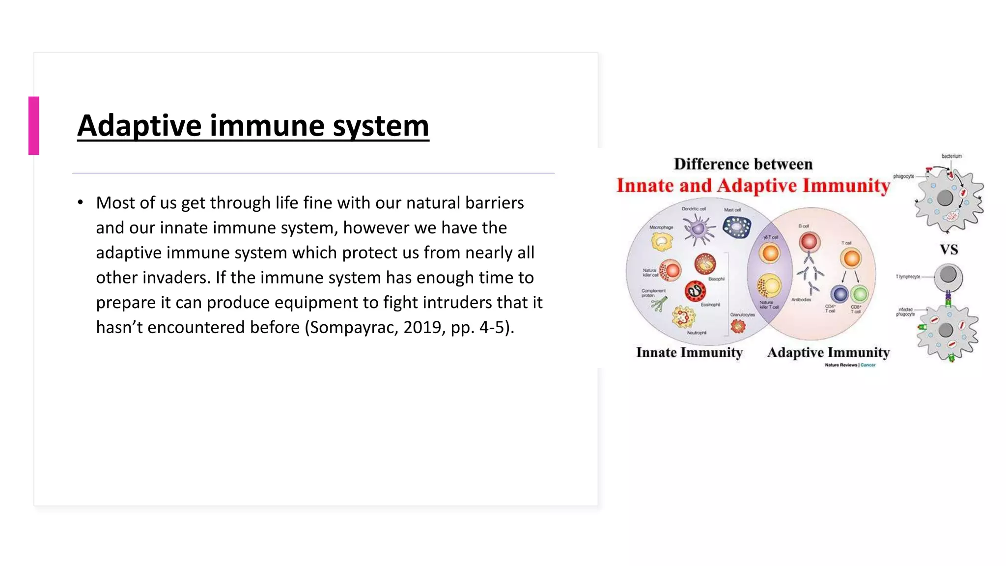 Immune system powerpoint | PPTX | Infectious Diseases | Diseases and ...