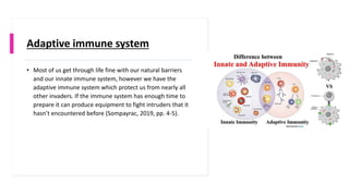 Immune system powerpoint | PPTX | Infectious Diseases | Diseases and Conditions