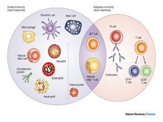 Immune System Ppt Pptx
