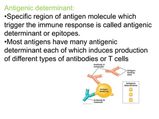 Immune system | PPTX