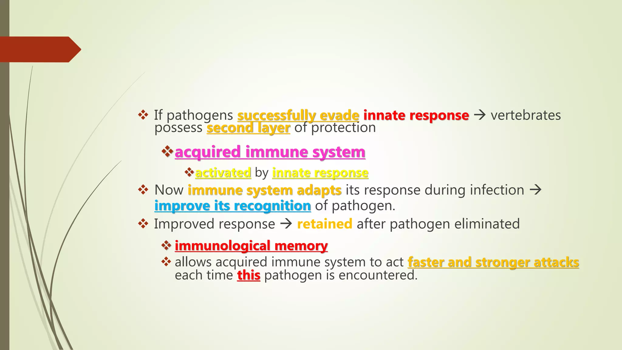 Immune system slides | PPTX