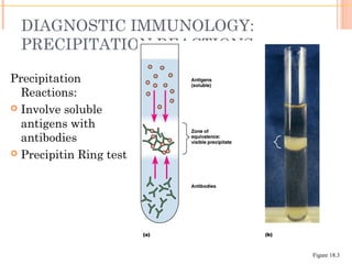 Immune tests.3 | PPT