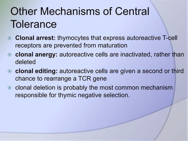 Immune tolerance | PPT