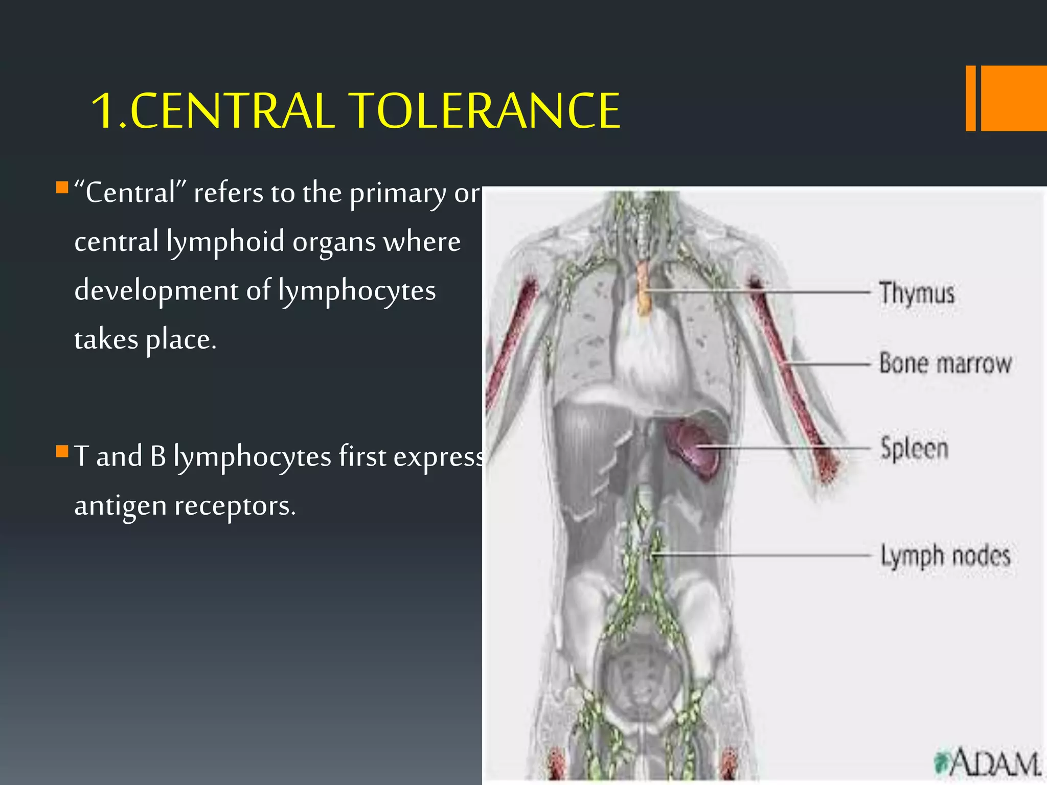 Immune tolerance | PPTX