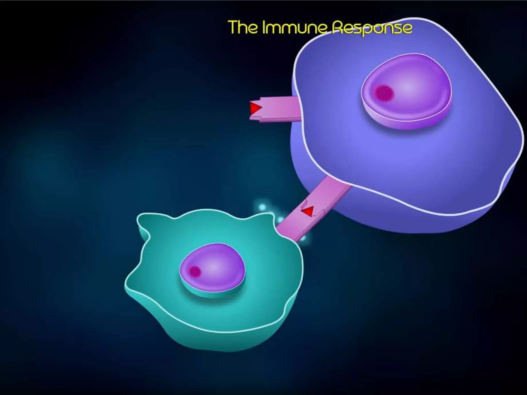 Immune tolerance | PPTX