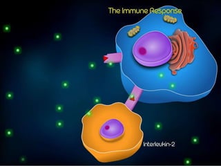 Immune tolerance | PPTX