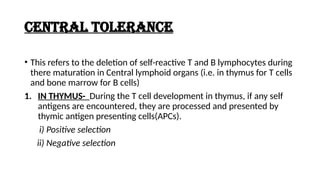 IMMUNE TOLERANCE. Autoimmunity tolerance | PPT