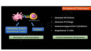 Immune tolerance | PPTX