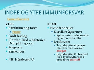 Immunforsvaret | PPTX