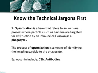 Immunisation against bacteria | PPTX