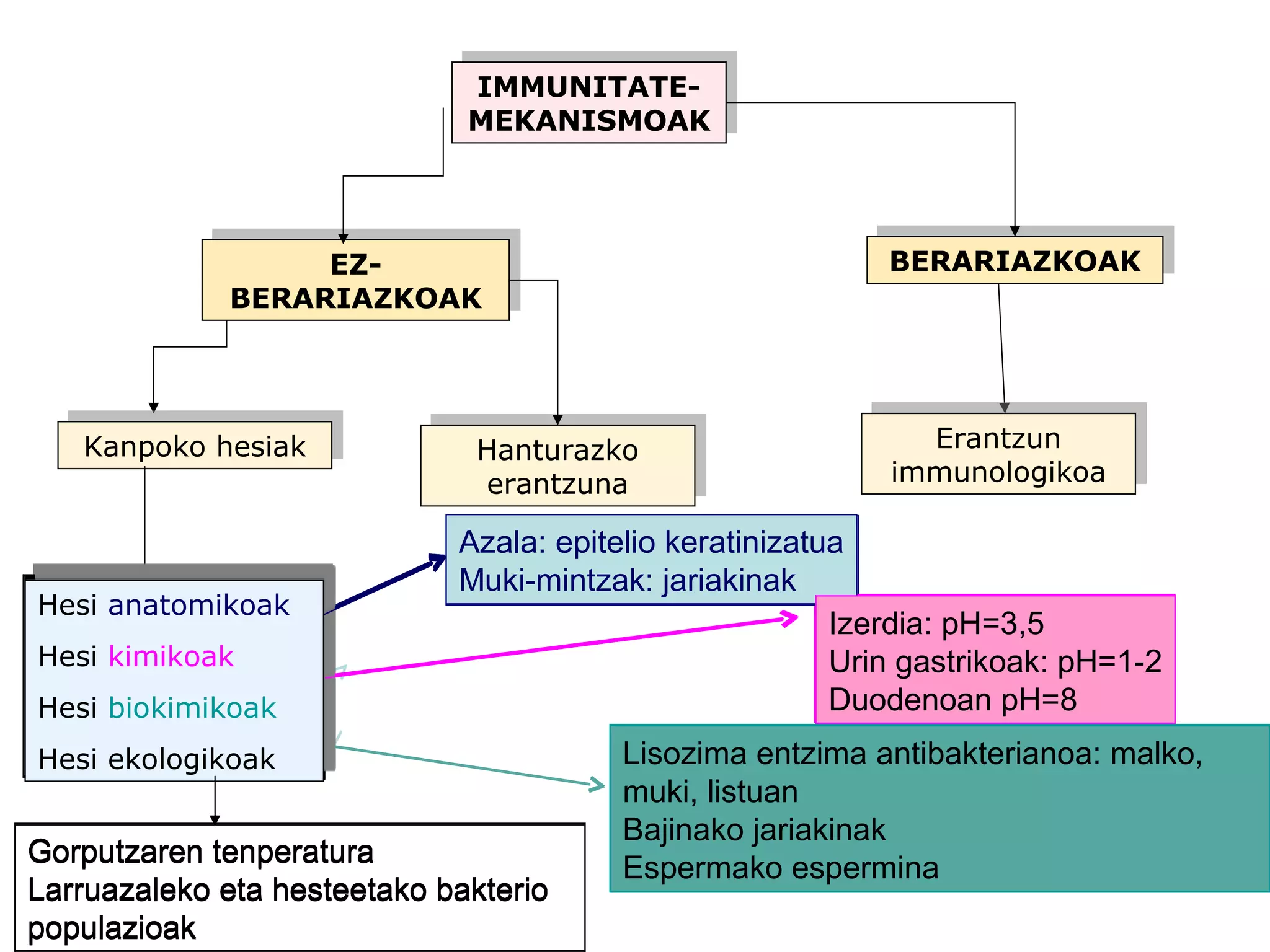 Immunitate sistema | PPT