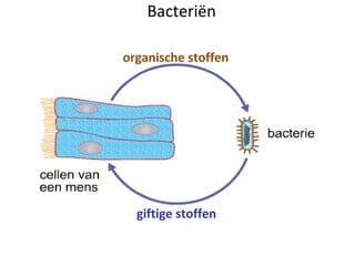 Immuniteit | PPT