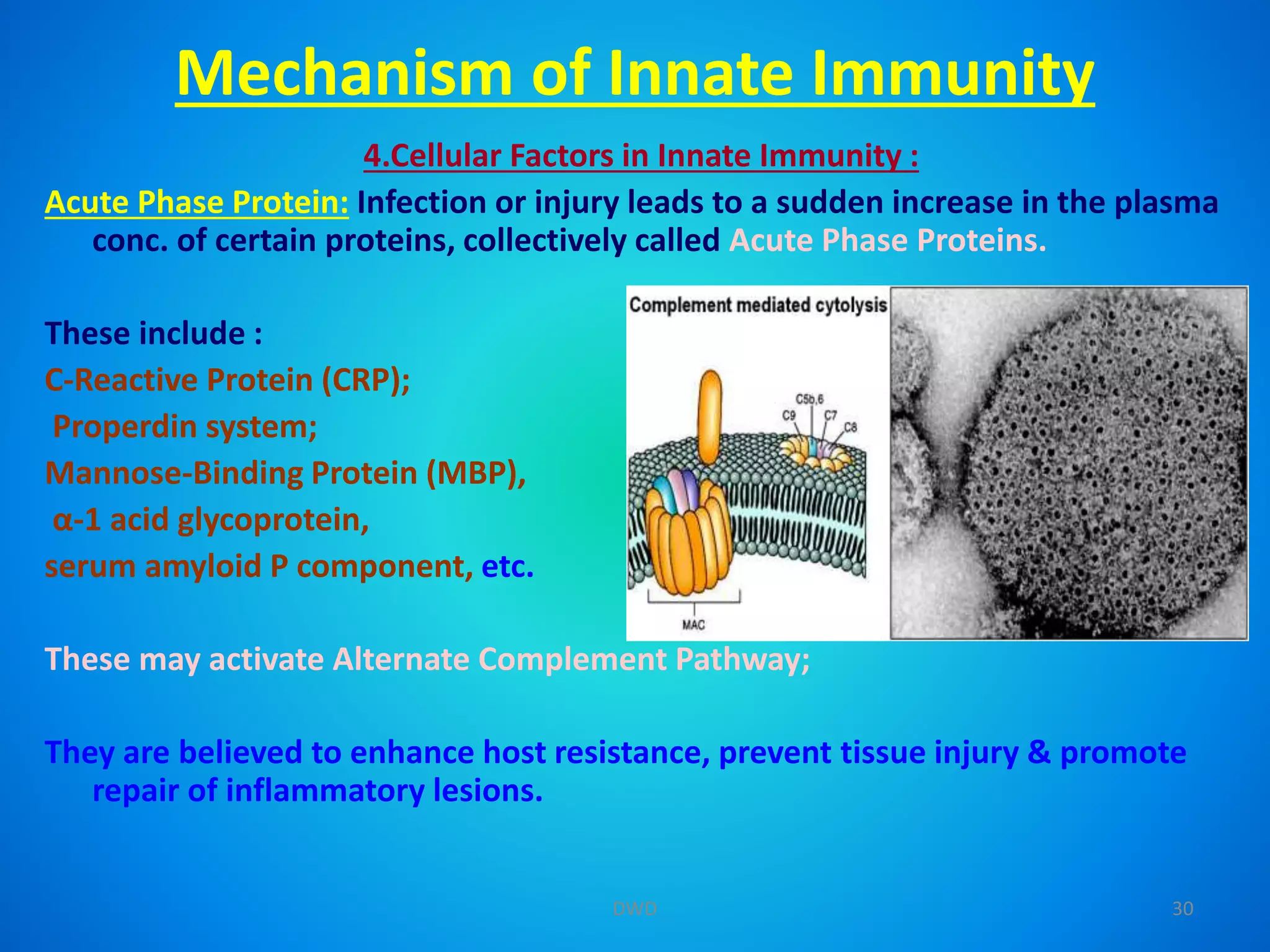 Immunity 1 | PPTX