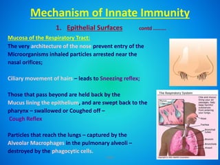 Immunity 1 | PPT