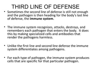 Immunity | PPT