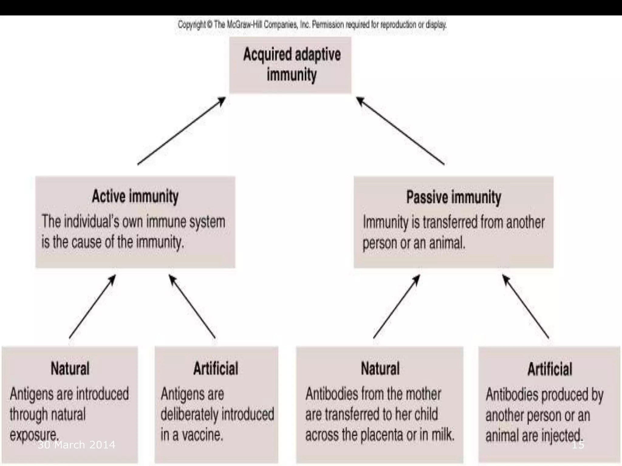 Classification of Immunity | PPT
