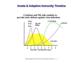 Immunology in a Nutshell | PPT